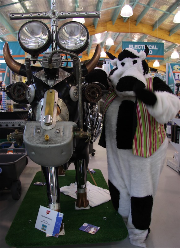 Photo Gallery - Candy Cow